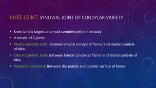 Knee joint | PPTX