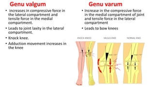 KNEE JOINT-biomeschanics.pptx DR VASU SRIVASTAVA | PPTX
