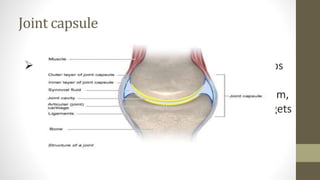 Knee joint(1) | PPT