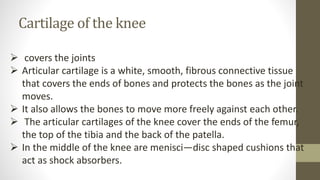 Knee joint(1) | PPT