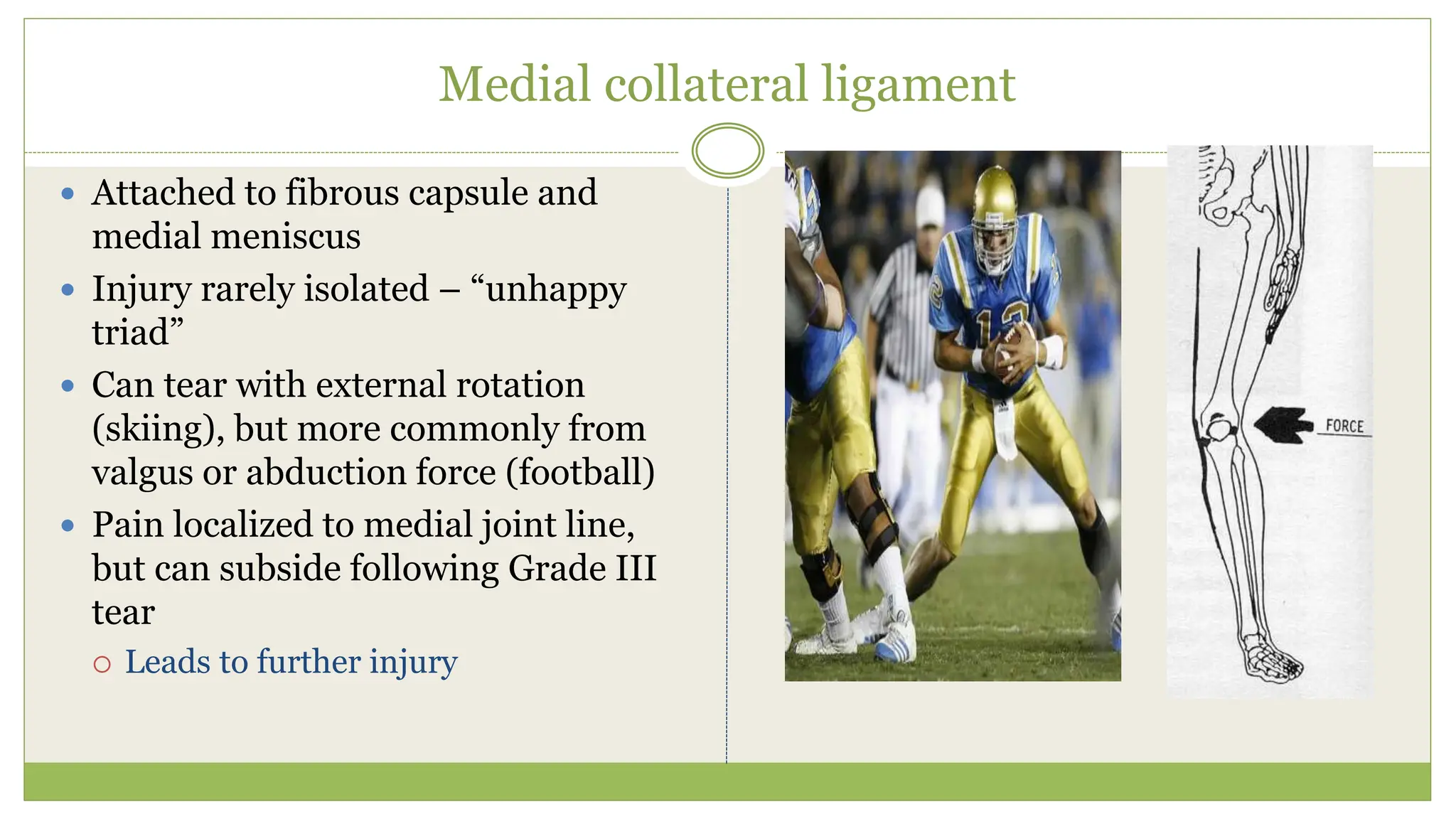 Knee Joint Sports Physical Therapy Anatomy of Knee, Common injuries in ...