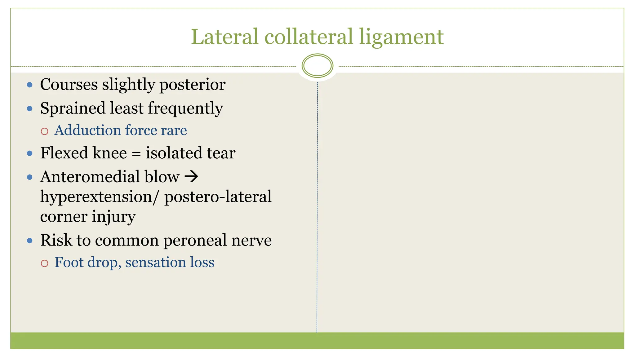 Knee Joint Sports Physical Therapy Anatomy of Knee, Common injuries in ...