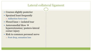 Knee Joint Sports Physical Therapy Anatomy of Knee, Common injuries in ...