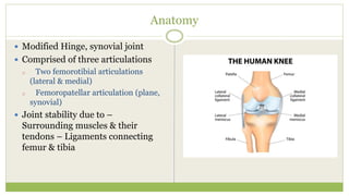 Knee Joint Sports Physical Therapy Anatomy of Knee, Common injuries in ...