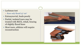 Knee Joint Sports Physical Therapy Anatomy of Knee, Common injuries in ...