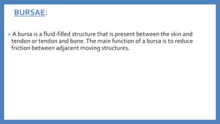 KNEE JOINT (1).pptx .................... | PPTX