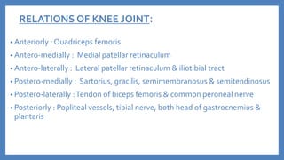 KNEE JOINT (1).pptx .................... | PPT