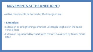 KNEE JOINT (1).pptx .................... | PPTX