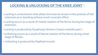 KNEE JOINT (1).pptx .................... | PPTX