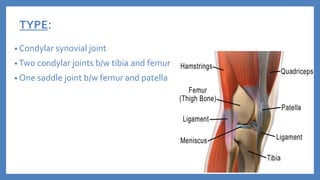 KNEE JOINT (1).pptx .................... | PPTX