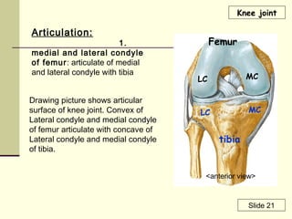 Kneejoint2 | PPT