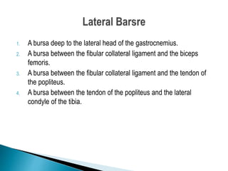 Knee joint by insha ur rahman | PPT