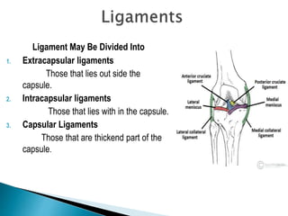 Knee joint by insha ur rahman | PPT