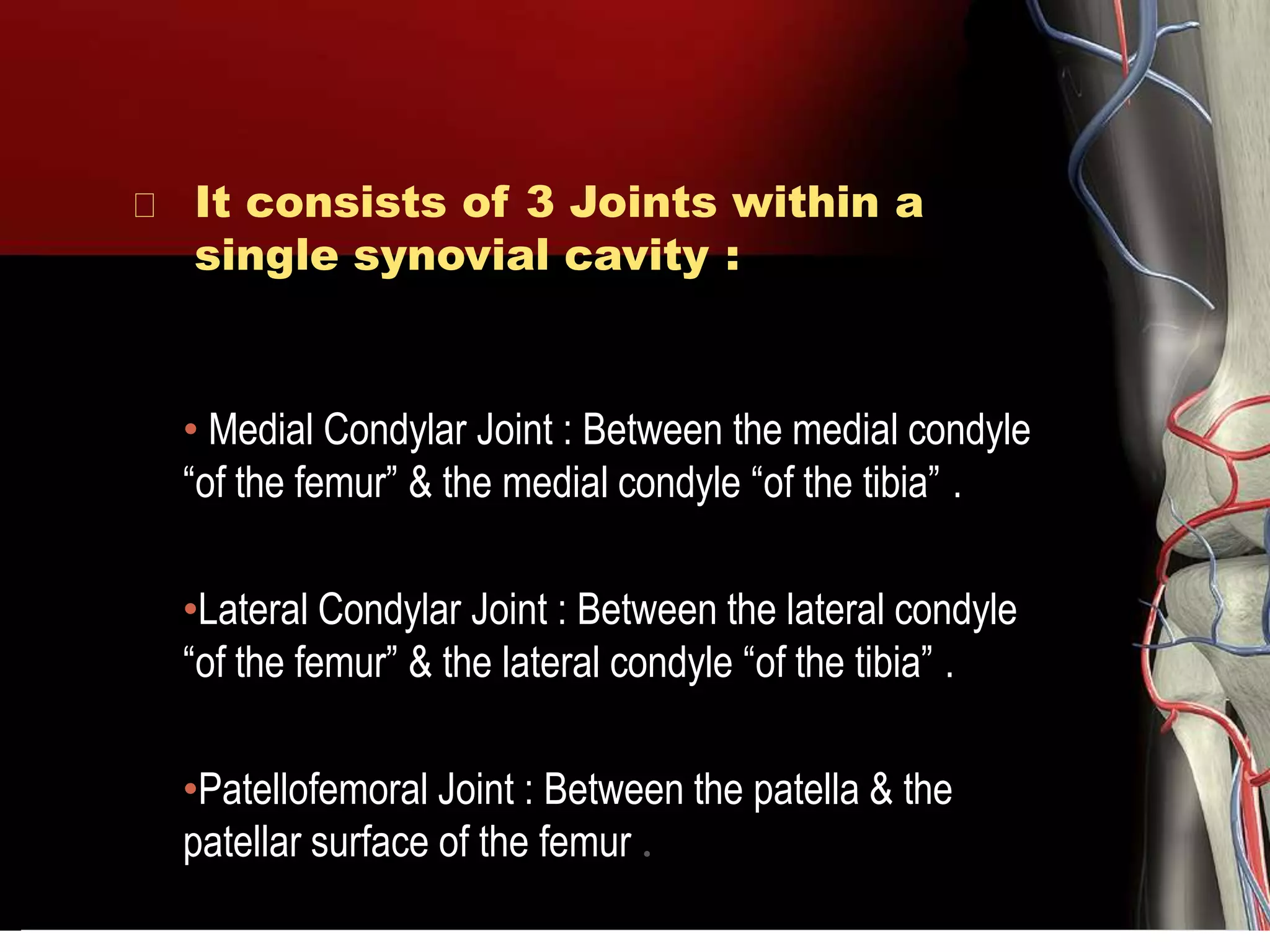 ANATOMY OF KNEE JOINT | PPTX