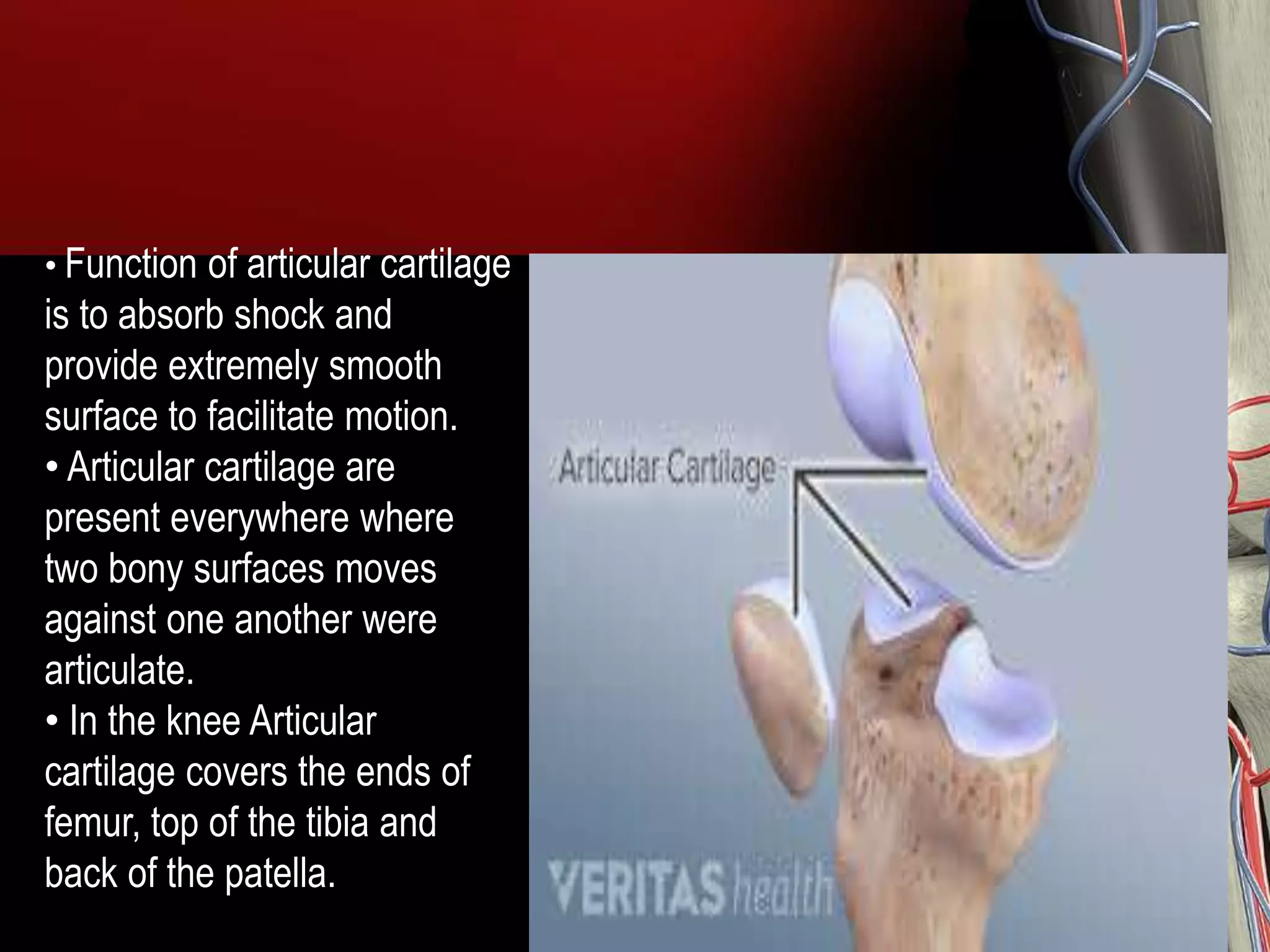 ANATOMY OF KNEE JOINT | PPTX