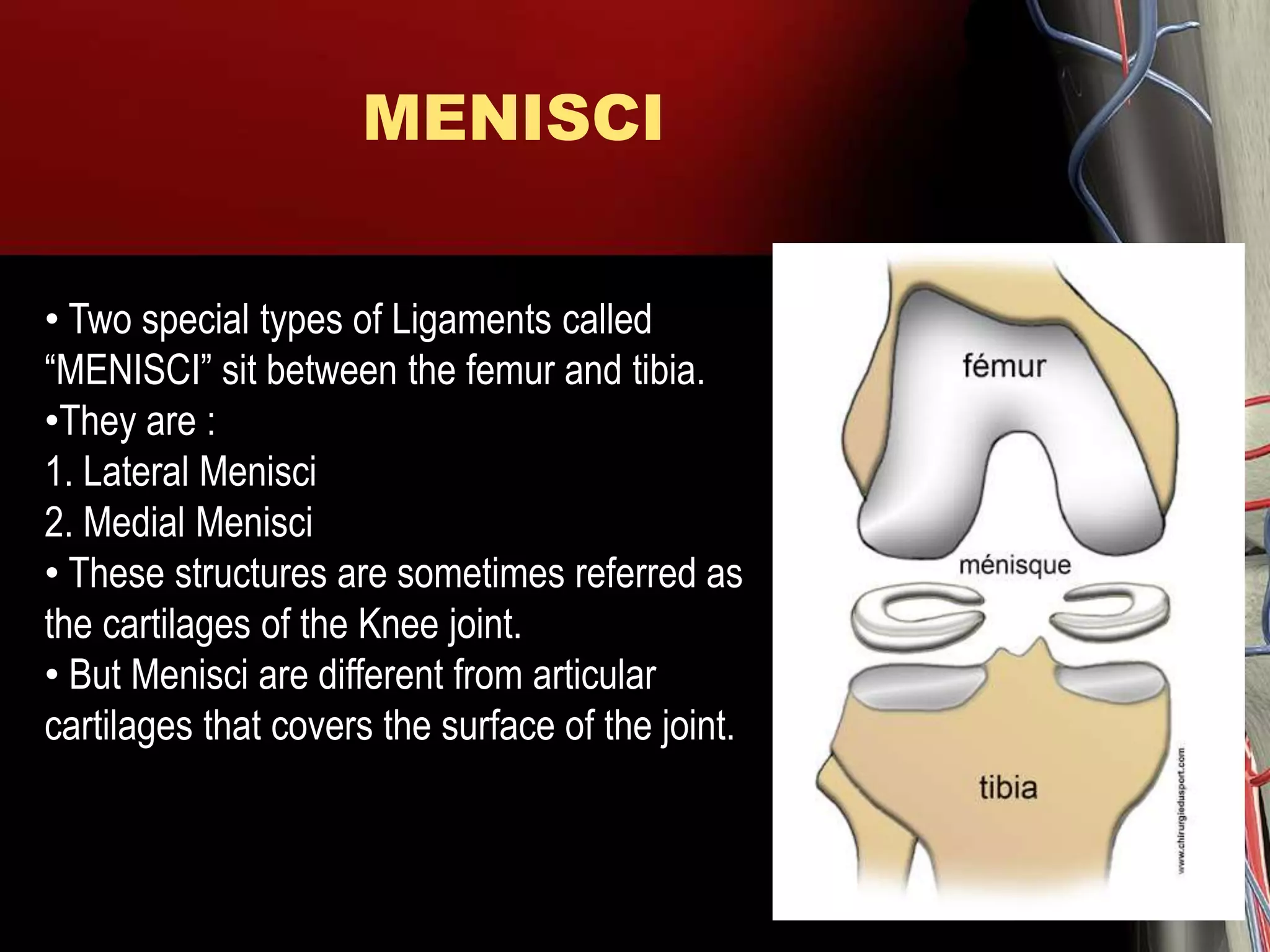 ANATOMY OF KNEE JOINT | PPTX