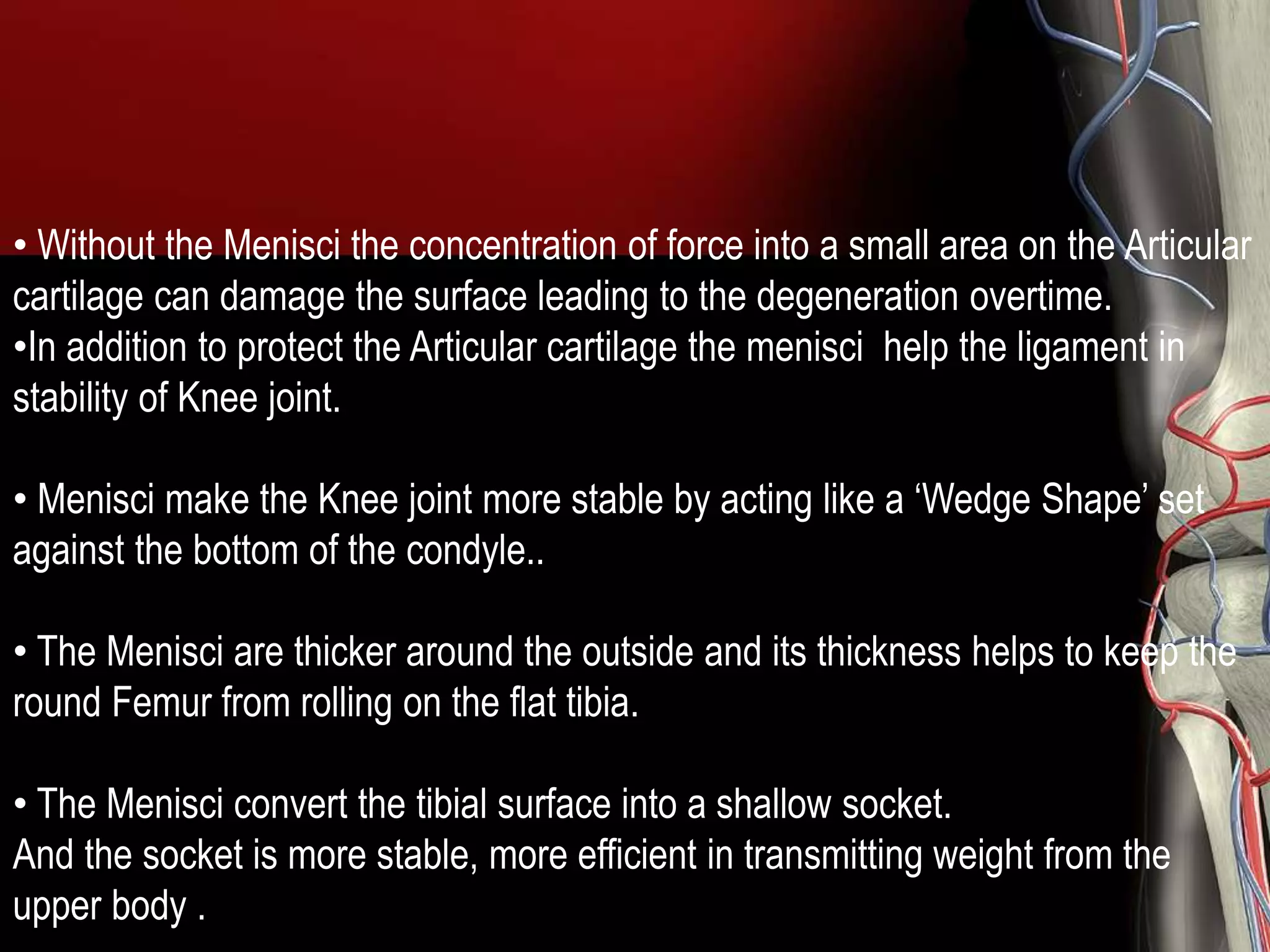 ANATOMY OF KNEE JOINT | PPTX