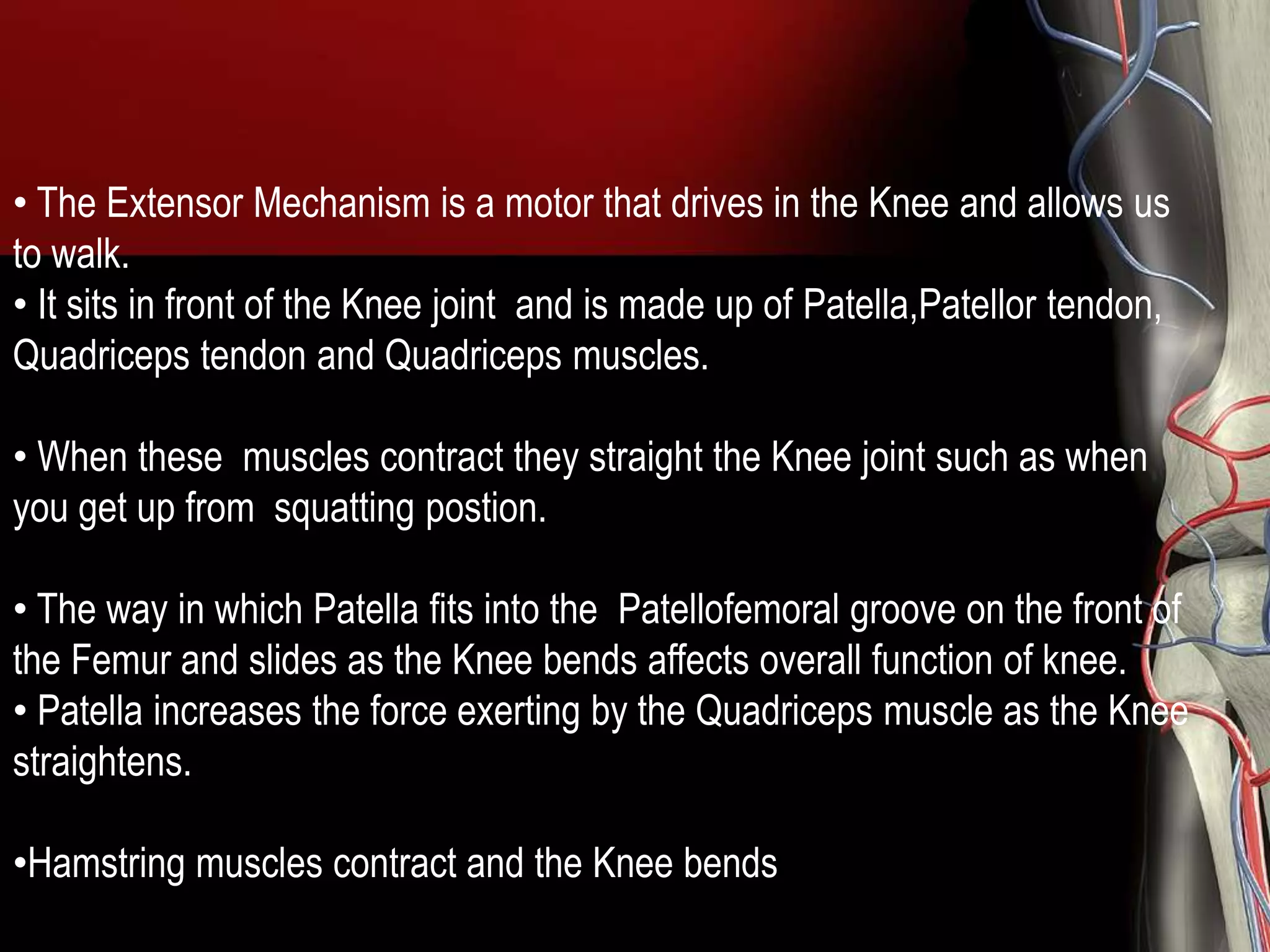 ANATOMY OF KNEE JOINT | PPTX