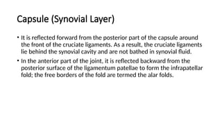 THE KNEE JOINT ANATOMY FOR MMED ORTHOPEDICS | PPTX