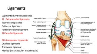 THE KNEE JOINT ANATOMY FOR MMED ORTHOPEDICS | PPTX