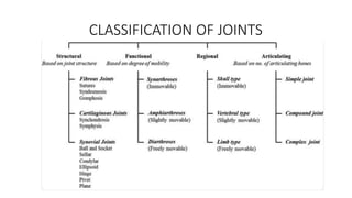 THE KNEE JOINT ANATOMY FOR MMED ORTHOPEDICS | PPTX