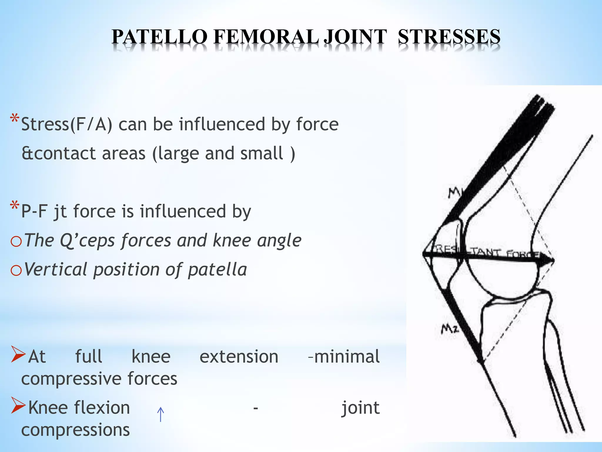 Knee joint anatomy, biomechanics, pathomechanics and assessment | PPTX