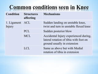 Knee joint anatomy, biomechanics, pathomechanics and assessment | PPTX