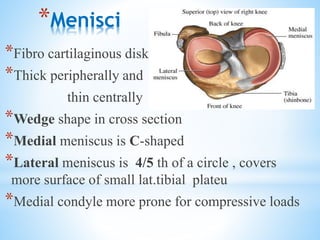 Knee joint anatomy, biomechanics, pathomechanics and assessment | PPTX