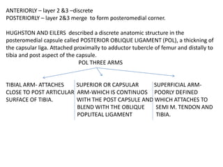 Knee joint anatomy final ppt | PPTX