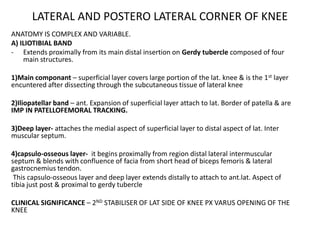 Knee joint anatomy final ppt | PPTX