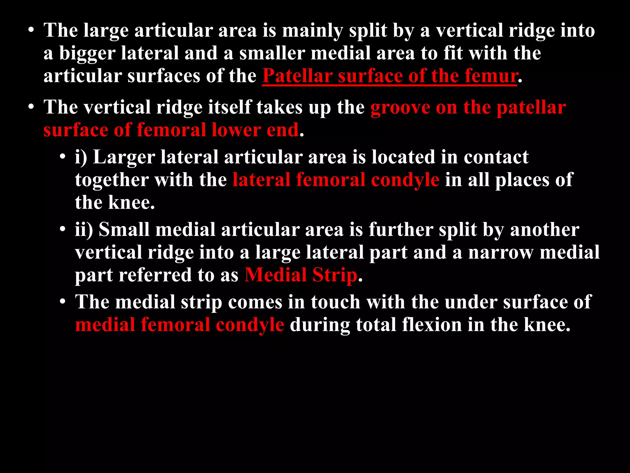 Complete knee joint anatomy | PPT