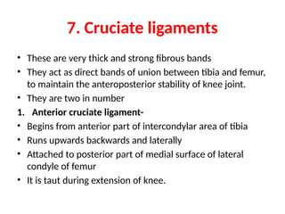 KNEE JOINT arman pathan bhms 1st year ne | PPTX