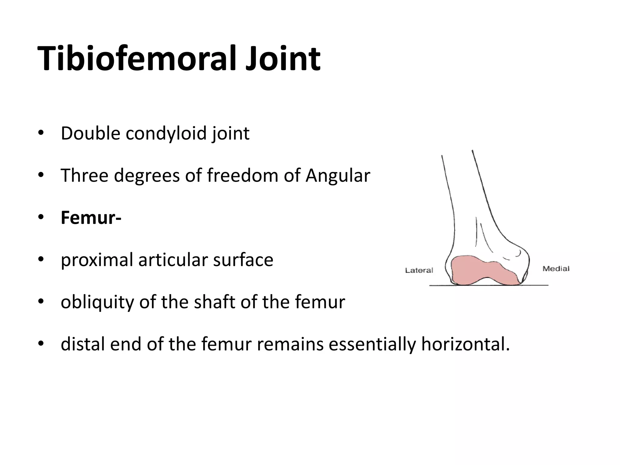 Knee joint biomechanics | PPTX