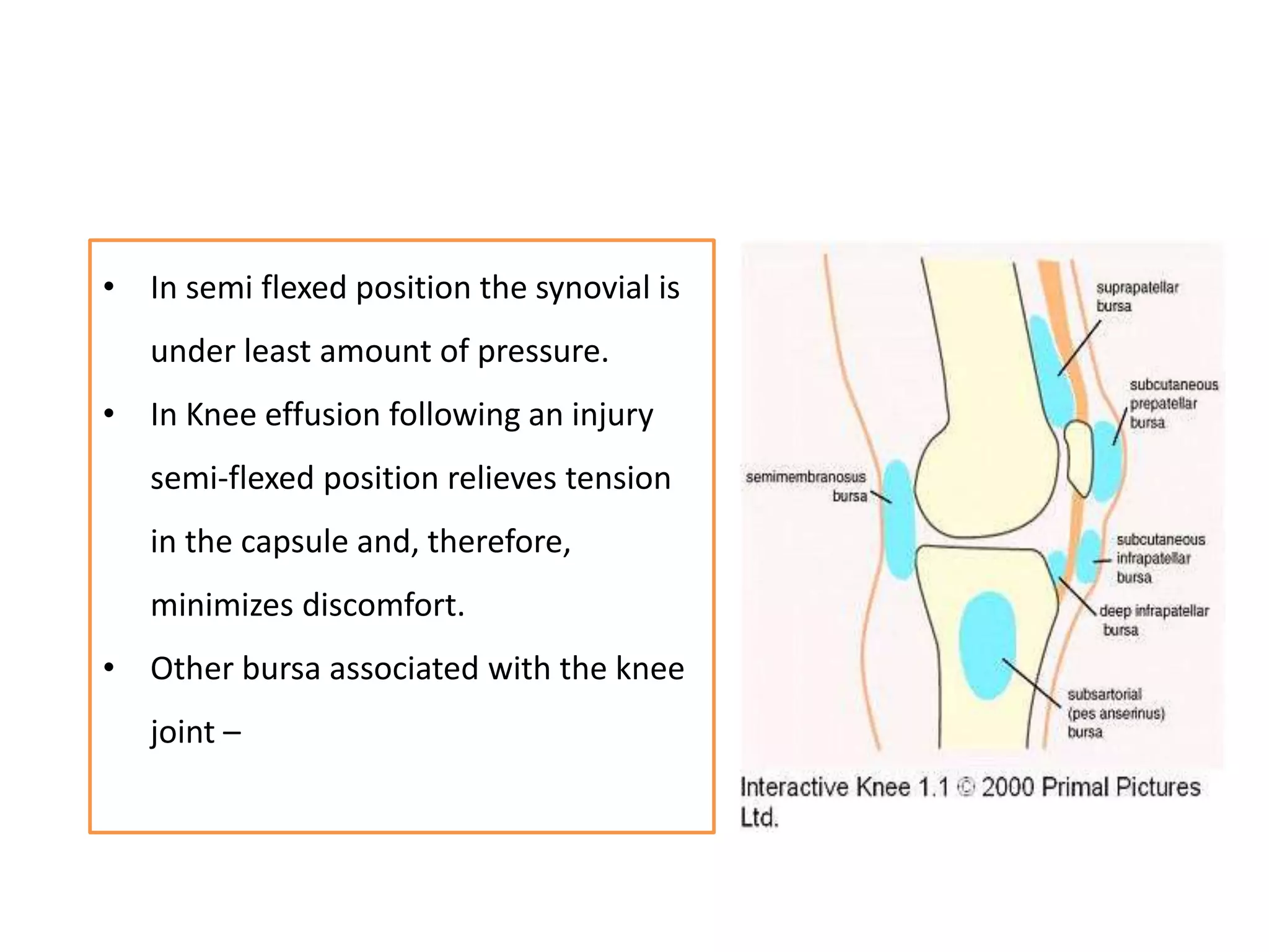 Knee joint biomechanics | PPTX