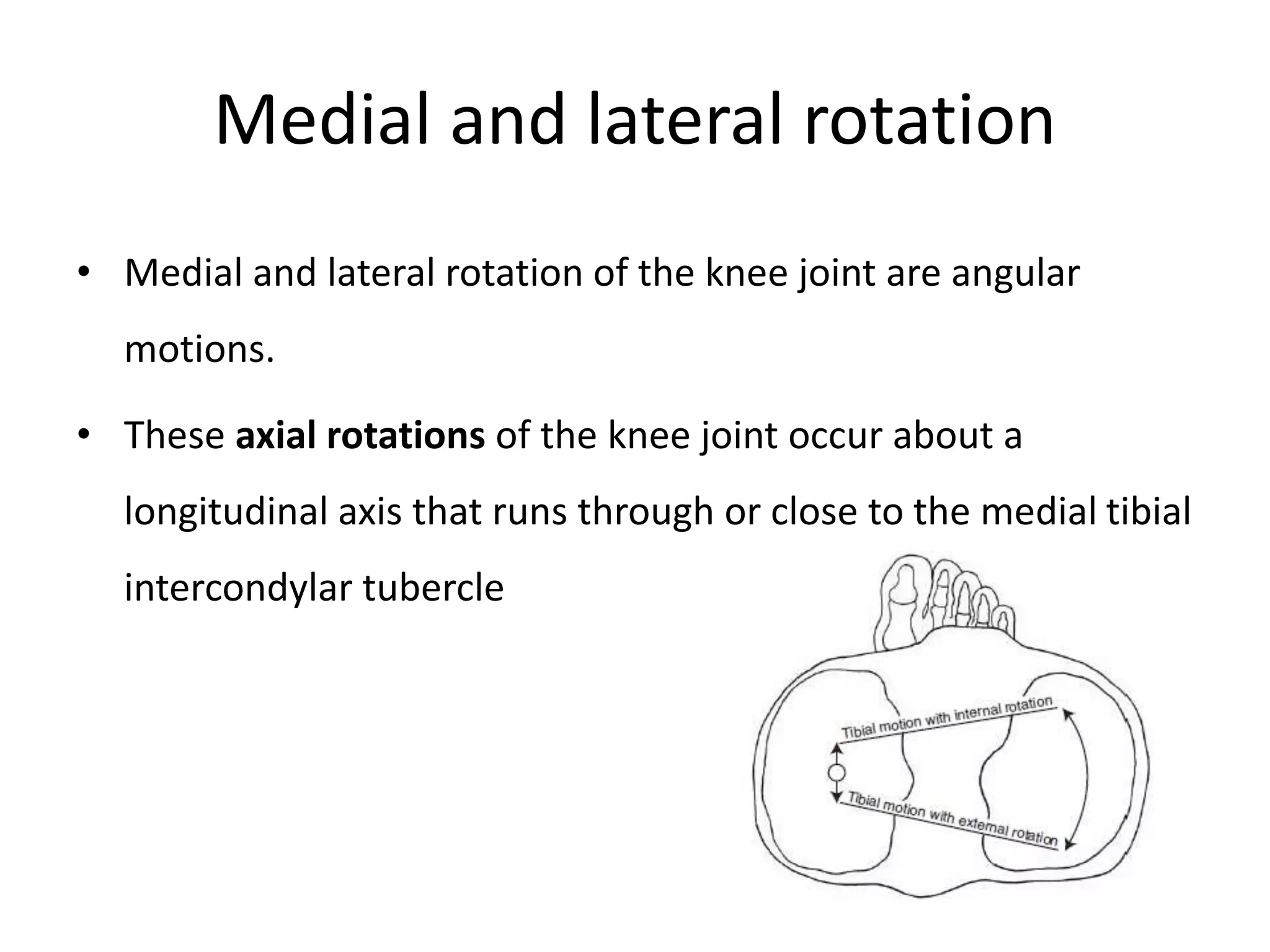 Knee joint biomechanics | PPTX