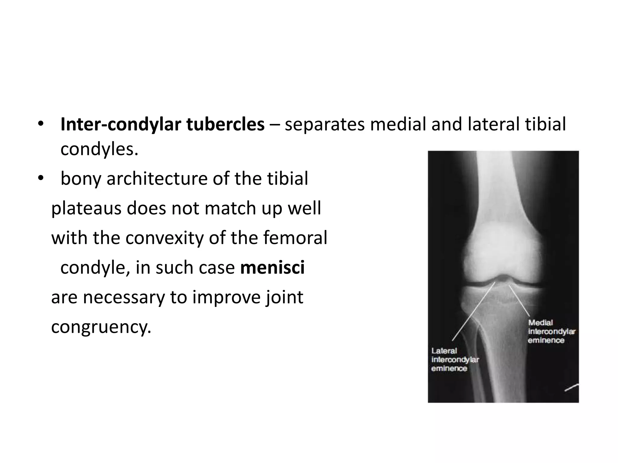 Knee joint biomechanics | PPTX