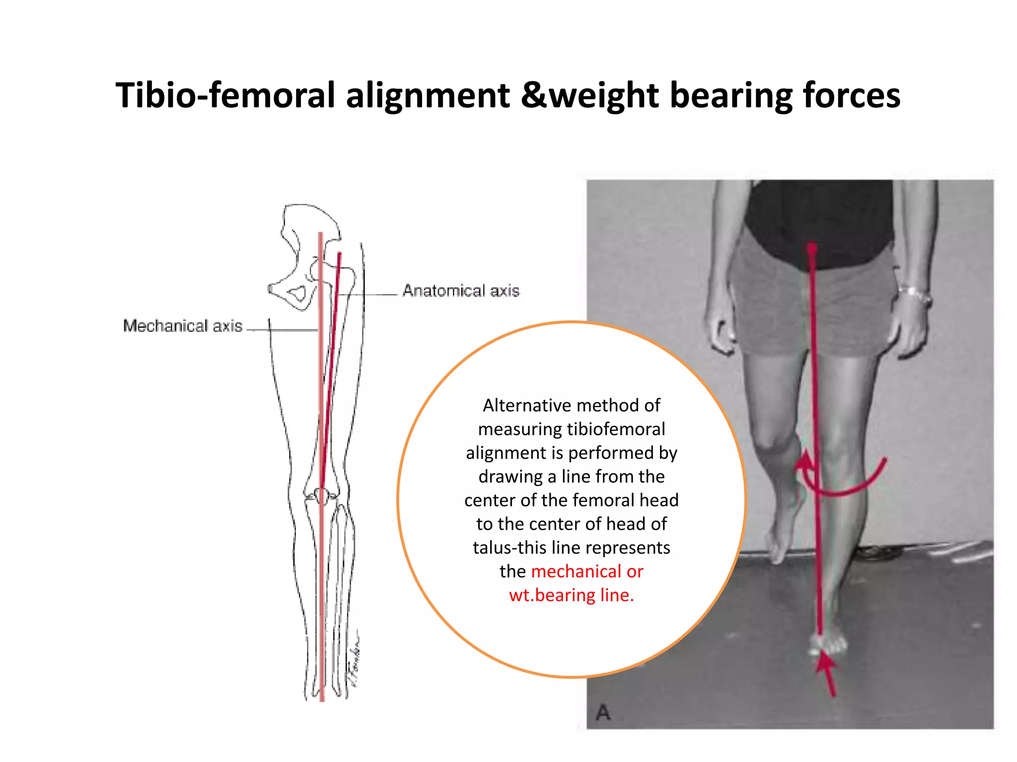 Knee joint biomechanics | PPTX