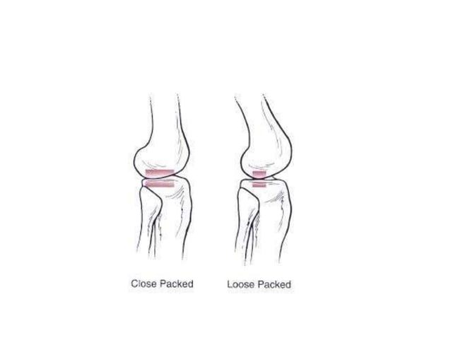 Knee joint biomechanics | PPTX