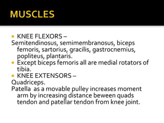 Knee joint complex biomechanics | PPTX
