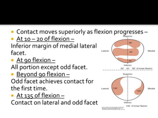 Knee joint complex biomechanics | PPTX