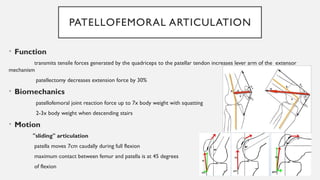 Knee Joint Biomechanics - Orthopedics JPMC, KHI | PPTX