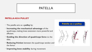 Knee Joint Biomechanics - Orthopedics JPMC, KHI | PPTX
