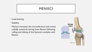 Knee Joint Biomechanics - Orthopedics JPMC, KHI | PPTX