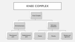 Knee Joint Biomechanics - Orthopedics JPMC, KHI | PPTX