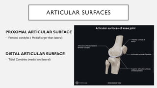 Knee Joint Biomechanics - Orthopedics JPMC, KHI | PPTX
