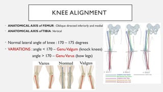 Knee Joint Biomechanics - Orthopedics JPMC, KHI | PPTX