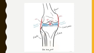 knee joint examination and common testss | PPT