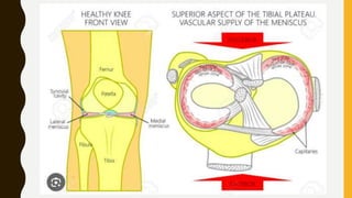knee joint examination and common testss | PPT