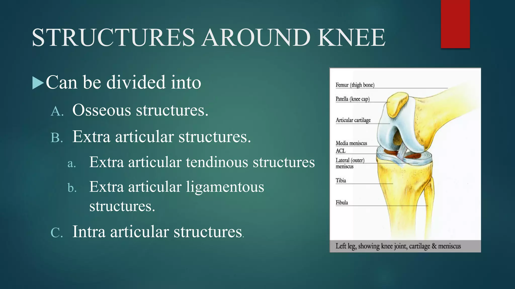 PS SESSION : EXAMINATION OF KNEE JOINT | PDF