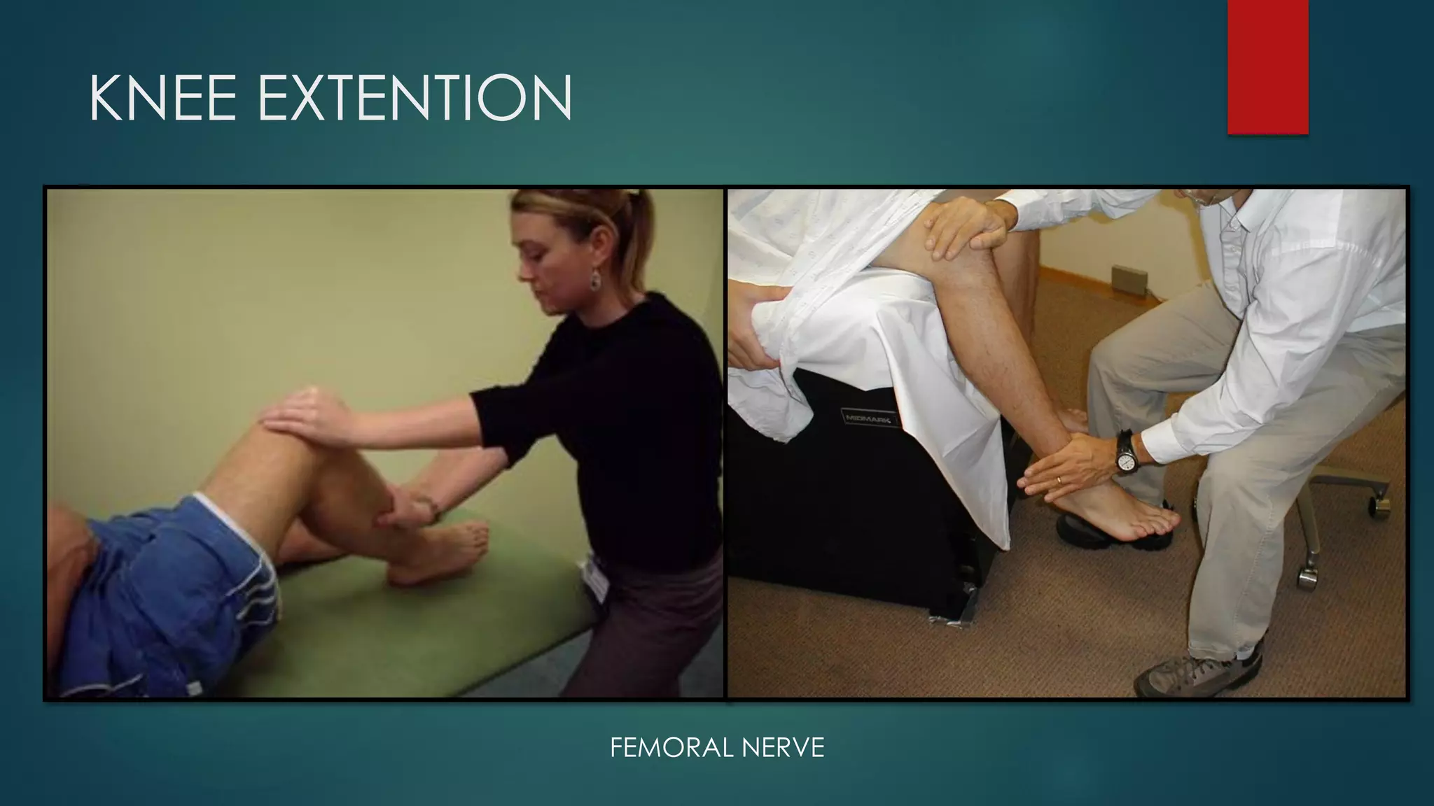 PS SESSION : EXAMINATION OF KNEE JOINT | PDF